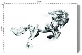 Obraz Kůň Jak Načrtnut Nedostatek Nedostatek Plátno Canvas 100x70