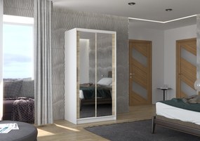ADRK Furniture Posuvná skříň se zrcadlem NEVIO 100 SW-NEV-W+S-100+A642