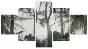 Obraz - Jungle v ranní mlze (125x70 cm)