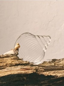 Sinsay - Dekorativní skleněný podnos ve tvaru mušle - clear