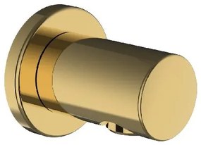 Laufen Sprchové příslušenství - Sprchové kolínko, lesklá zlatá HF504776463000