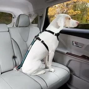 Kurgo Direct to Seatbelt Tether - modrá / Bezpečnostní autopás pro psa