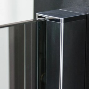 Roth Obdélníkový sprchový kout AMD2+AMB Varianta: šířka dveří: 120 cm, šířka pevné stěny: 80 cm - (AMD2/1200_AMB/800), Barva profilů a typ výplně: profily: brillant, výplň: transparent