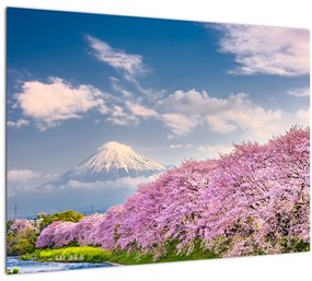 Skleněný obraz - Japonská jarní krajina (70x50 cm)