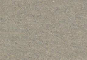 FORBO MARMOLEUM HOME TL. 2.5 MM - H73 ŠÍŘKA: 2 m