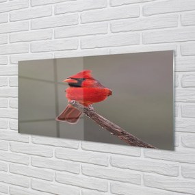 akrylový obraz Red papoušek na větvi 100x50 cm
