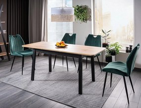 Čalouněná jídelní židle Arco Velvet - výběr z 5 provedení