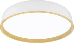 XXXLutz STROPNÍ LED SVÍTIDLO, 50/8 cm - Stropní svítidla - 004182003802