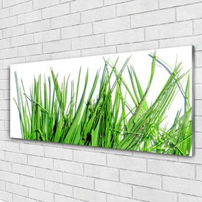 akrylový obraz Tráva 125x50 cm