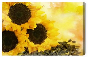 Obraz Květiny A Slunečnicová Semena Malované Akvarelem Nedostatek Nedostatek Přírodní plátno 100x70