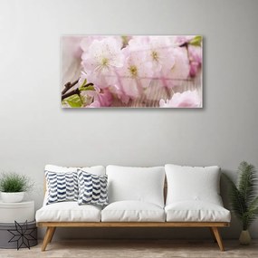 Plexisklo-obraz Větve Květiny Plátky Příroda 100x50 cm