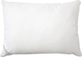 XXXLutz POLŠTÁŘ POD HLAVU, 40/60 cm Sleeptex - Polštáře pod hlavu - 005868021802