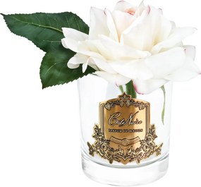 Côte Noire Parfémovaná růže French Rose Pink Blush