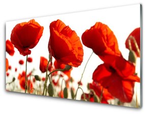 Obraz na skle Tulipány Květiny 140x70 cm