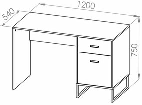 ML FURNITURE Psací stůl - COLT 07, zlatý dub/matná černá/prémiová ocel