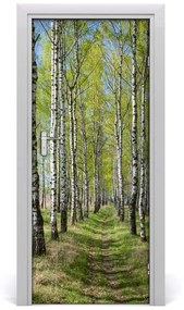 Fototapeta na dveře samolepící břízový les 75x205 cm