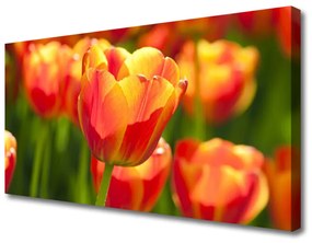 Obraz na plátně Tulipány Květiny Rostlina 120x60 cm