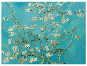 Reprodukce obrazu Vincenta van Gogha - Almond Blossom, 70 x 50 cm