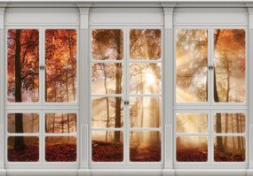 Fototapeta - Podzimní zobrazení okna - les (152,5x104 cm)