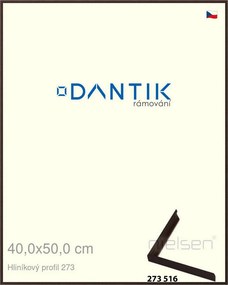 DANTIK rámeček 40x50 | ALU profil 7273 Dýha wenge tmavá (Sklo Čiré)