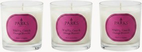 Sada ručně vyrobených vonných svíček Vintage Aromatherapy (divoký fík, černý rybíz a pomerančový květ), 3 díly