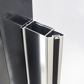 Roth Elegant Neo sprchové dveře 100 cm  jednokřídlé brillant transparent GDO1N/1000_GZN Koupelny Bernold