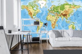 Fototapeta - Mapa světa (254x184 cm)