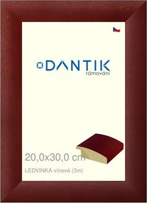 DANTIK rámeček 20x30 | LEDVINKA vínová (Sklo Čiré)