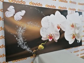 Obraz orchidej a motýl - 120x60 cm