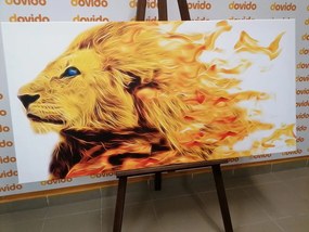 Obraz ohnivý lev Varianta: 100x50