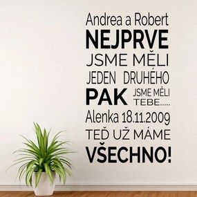 Nejprve jsme měli - vinylová samolepka na zeď 100x56cm