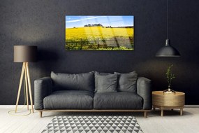 Obraz na skle Pole Rostlina Krajina 120x60 cm
