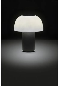 Zone Denmark LED stolní lampa Harvest Moon Black