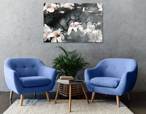 Obraz probouzející se magnolie Varianta: 90x60