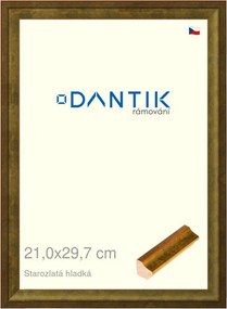DANTIK rámeček 21x29,7 | Starozlatá hladká (Sklo Čiré)