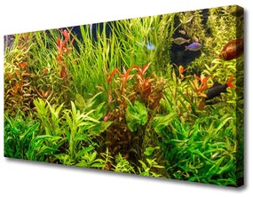 Obraz na plátně Akvárium Rybičky Rostliny 140x70 cm