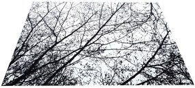 Tutumi Nature 4D, plyšový koberec vzor: černé stromy 140x200 cm, SHG-09009