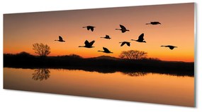 akrylový obraz Létající ptáky sunset 120x60 cm