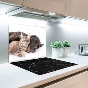 Skleněné deska do kuchyně Pes s kočkou 60x52 cm