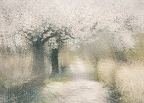 Ilustrace Cherry blossom, Nel Talen