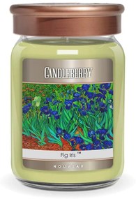 Candleberry Candle Candleberry Nouveau svíčka Fig Iris, 624 g