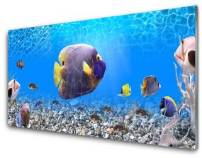 akrylový obraz Ryba Příroda 125x50 cm