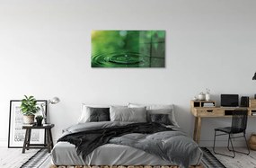 akrylový obraz Kapka vody close-up 100x50 cm