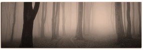 Obraz na plátně - Mlha v lese - panoráma 5182FA (105x35 cm)