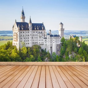 Fototapeta Neuschwanstein 104x70