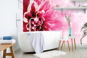 Samolepící tapeta růžový květ - 225x150 cm