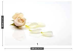 Fototapeta Růžová růže 104x70