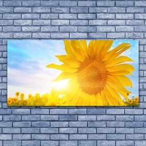 akrylový obraz Slunečnice Květ Slunce 120x60 cm