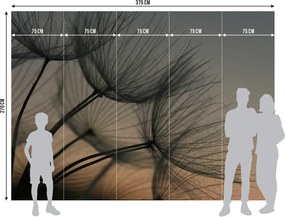 Fototapeta na míru Pampeliškové Chmýří | Vliesová fototapeta na zed' | DFTNXXL2494