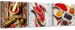 Gario Sada obrazů na plátně Pálivé koření z chilli papriček - 3 dílná Rozměry: 90 x 30 cm